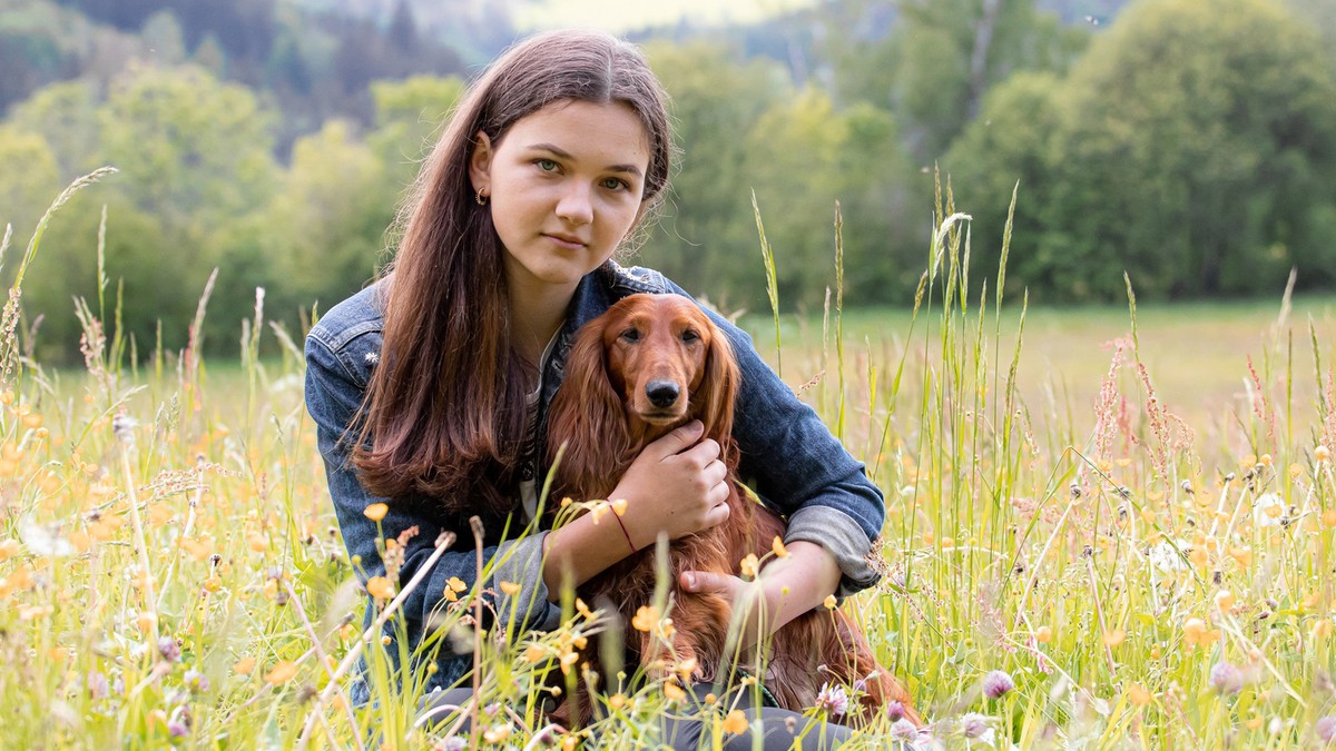 Tady hlídáme my - Sledujte celý film online | Voyo