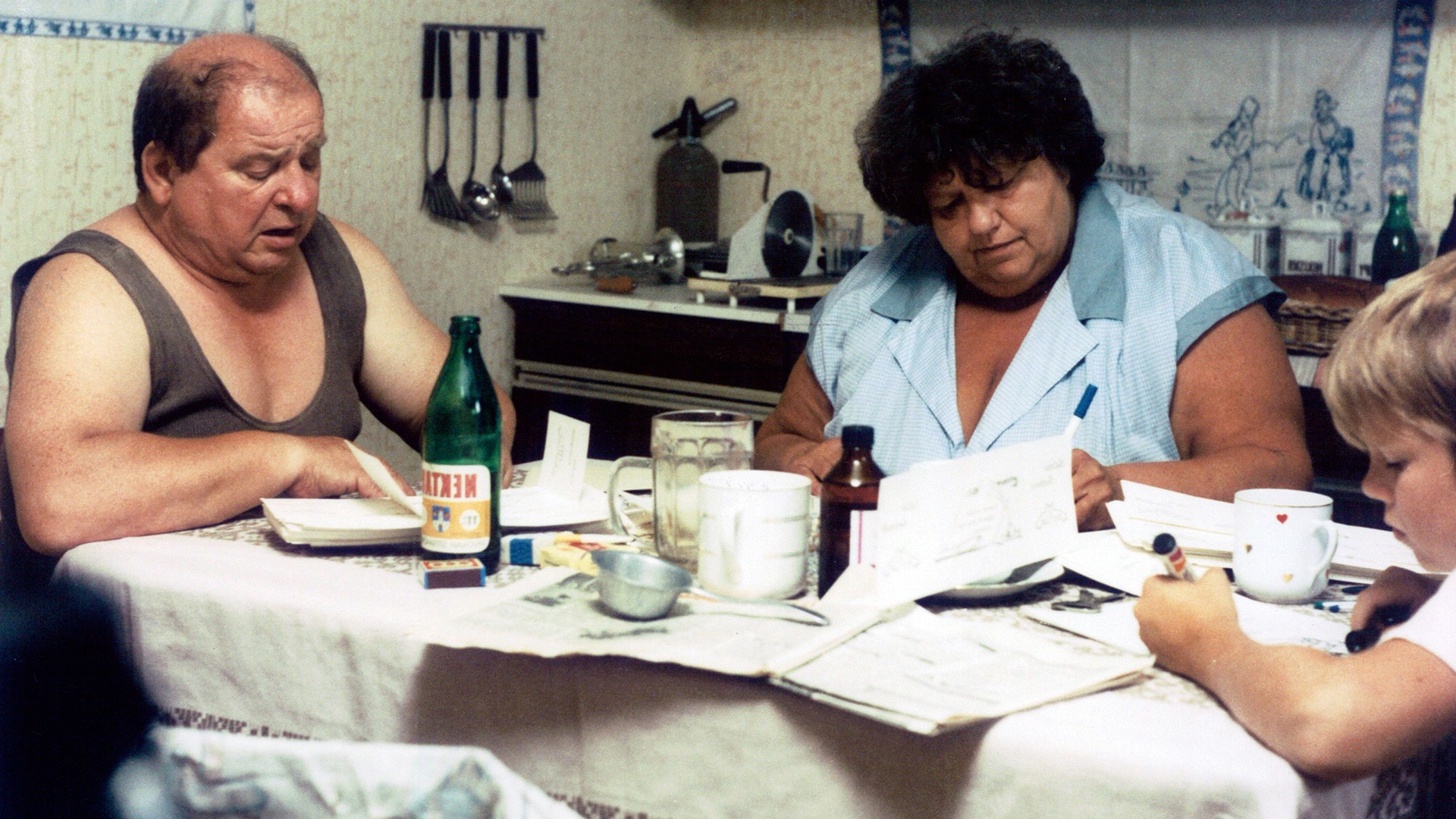 Slunce, seno a pár facek - Sledujte celý film online | Voyo